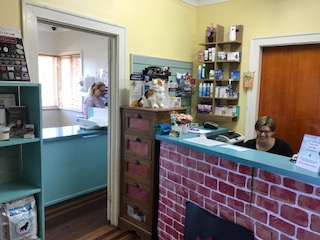 Veterinary Services - Raceview Veterinary Surgery