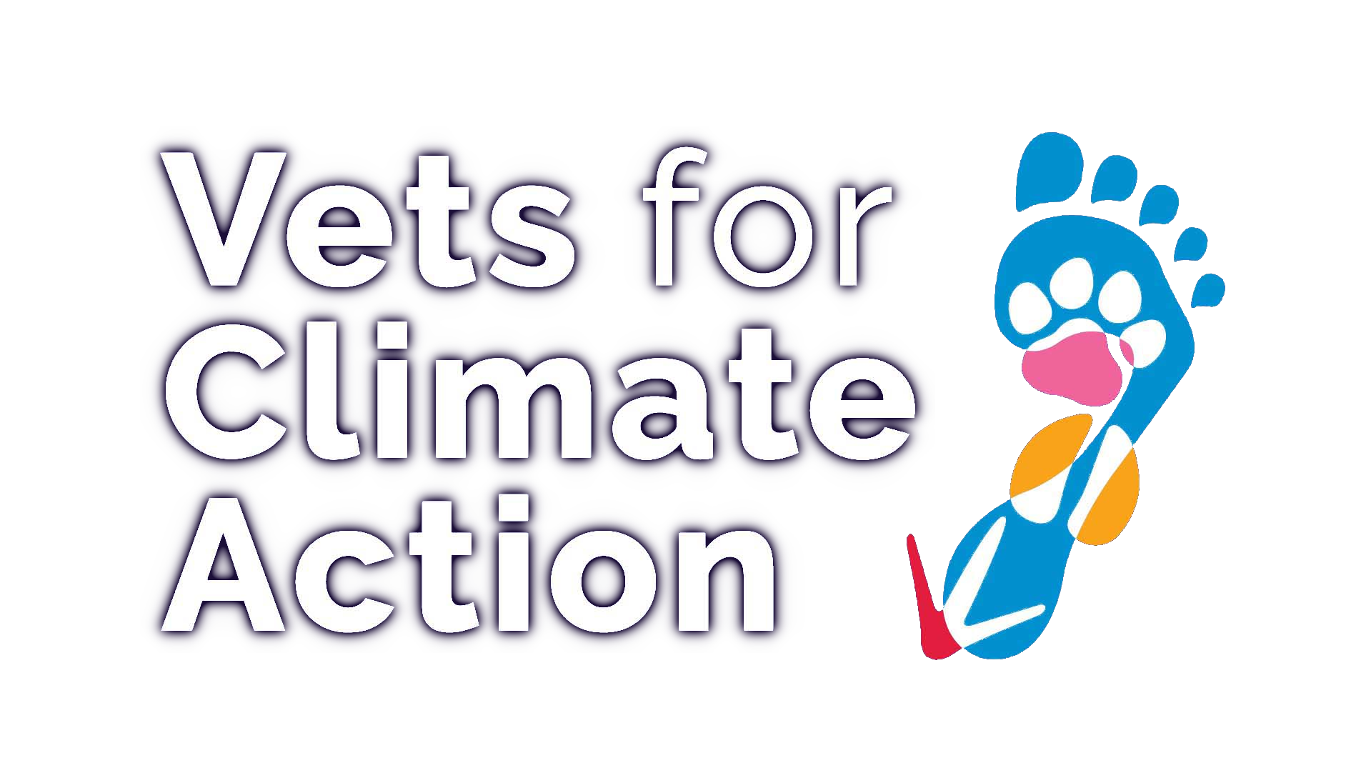 About Us - Raceview Veterinary Surgery