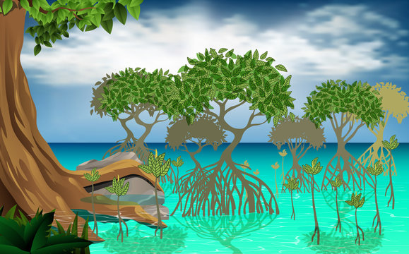 About Us - Raceview Veterinary Surgery